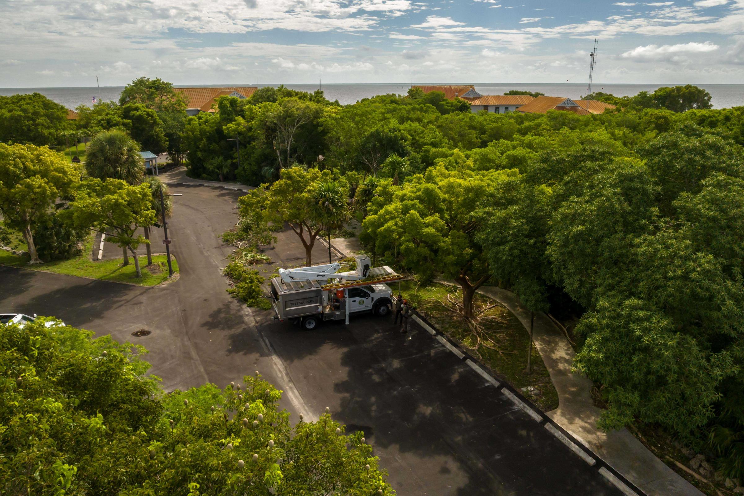 Treesources | Projects